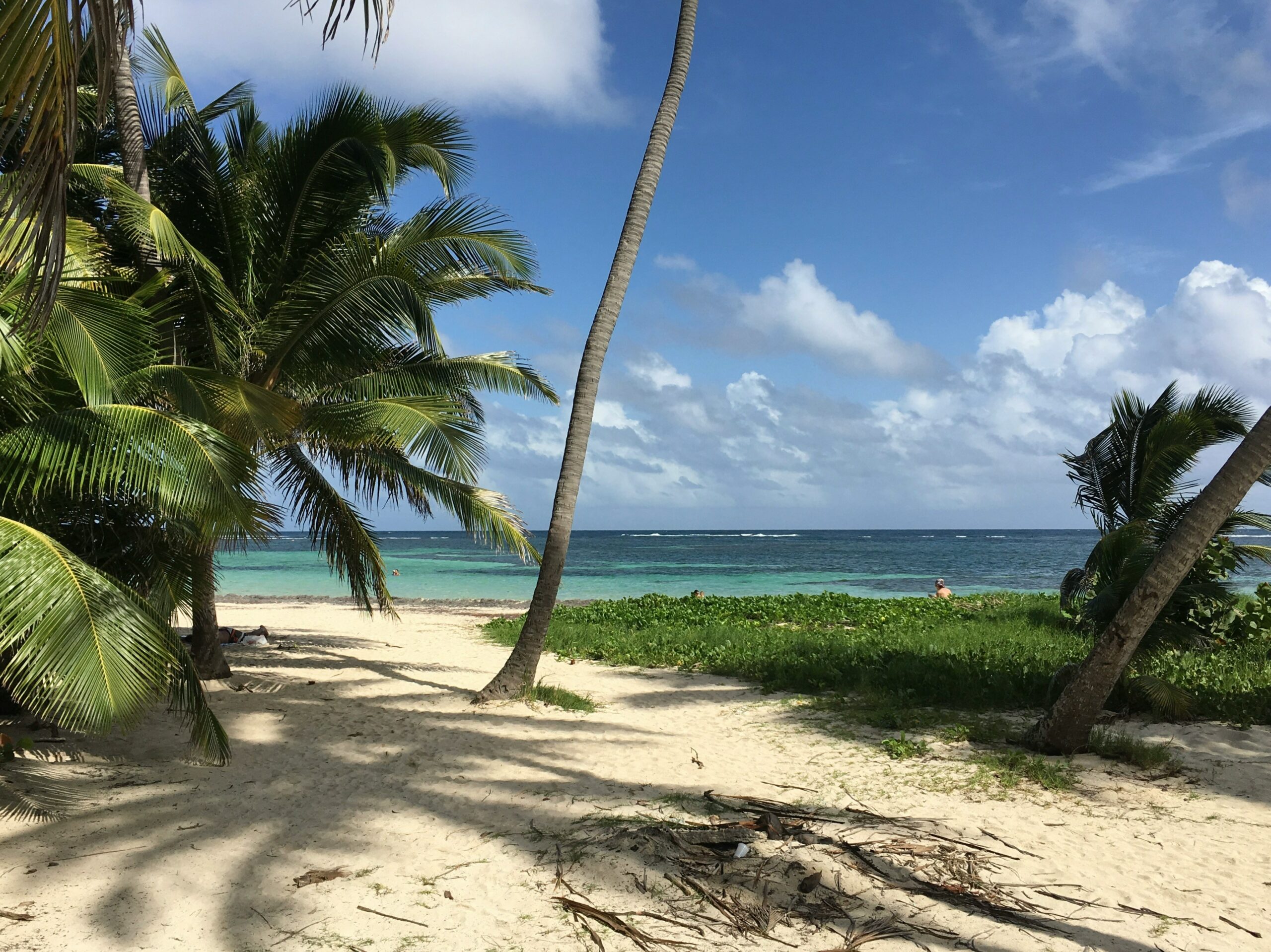 Exceptional offers at Domaine de l’Anse Mitan : Up to 20% off your ...
